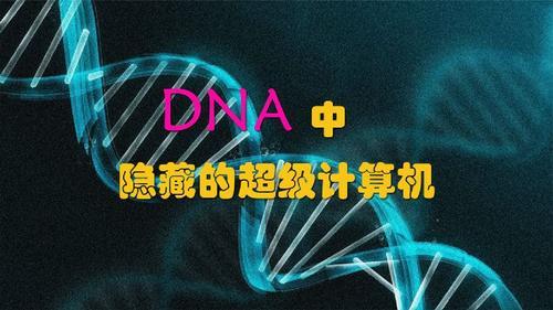 DNA中藏着的超级计算机