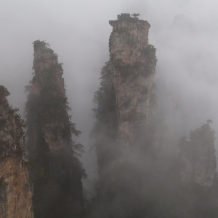 台州沃粮粮用器材有限公司 