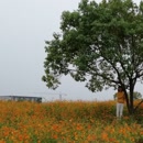 一只可爱的丁哈哈 