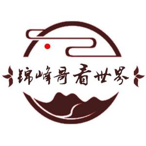锦峰哥看世界 