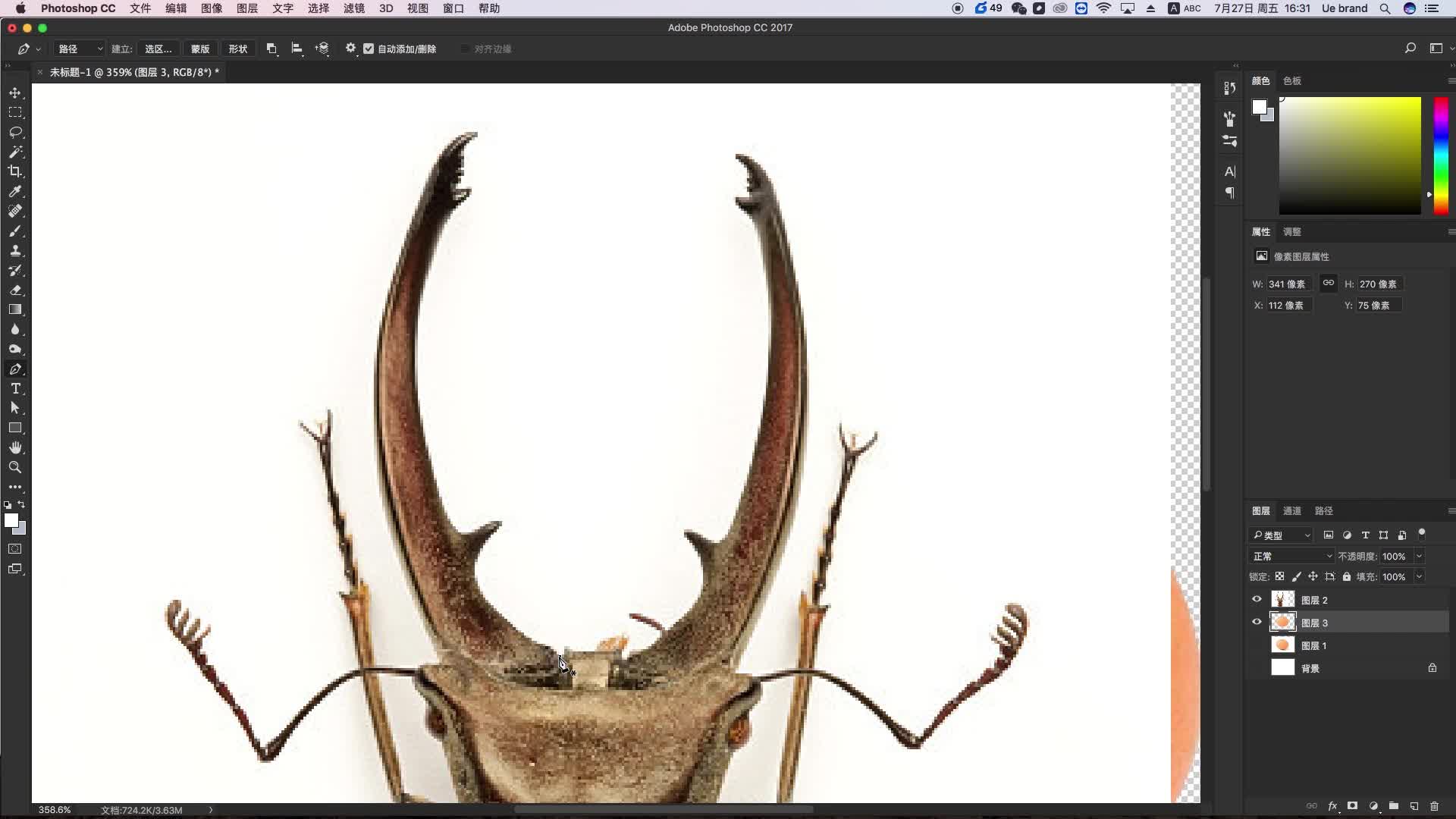 如何5分钟掌握,难以操控的ps钢笔工具。一个小技巧。