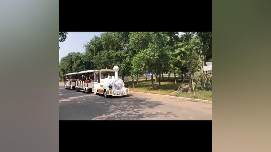 #火车#观光火车#无轨火车#有轨火车#电车#景区小火车#托马斯