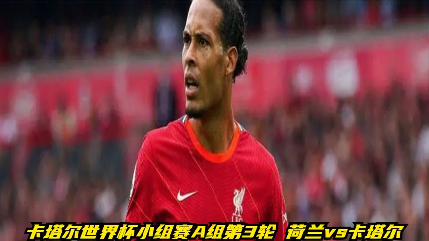 卡塔尔世界杯小组赛A组第3轮 荷兰vs卡塔尔