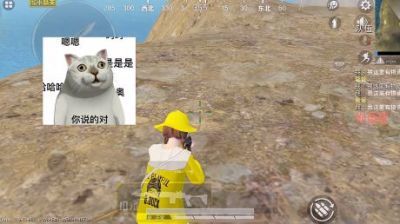 和平精英:用游戏隐藏代码,整蛊队友,奇怪的知识增加了