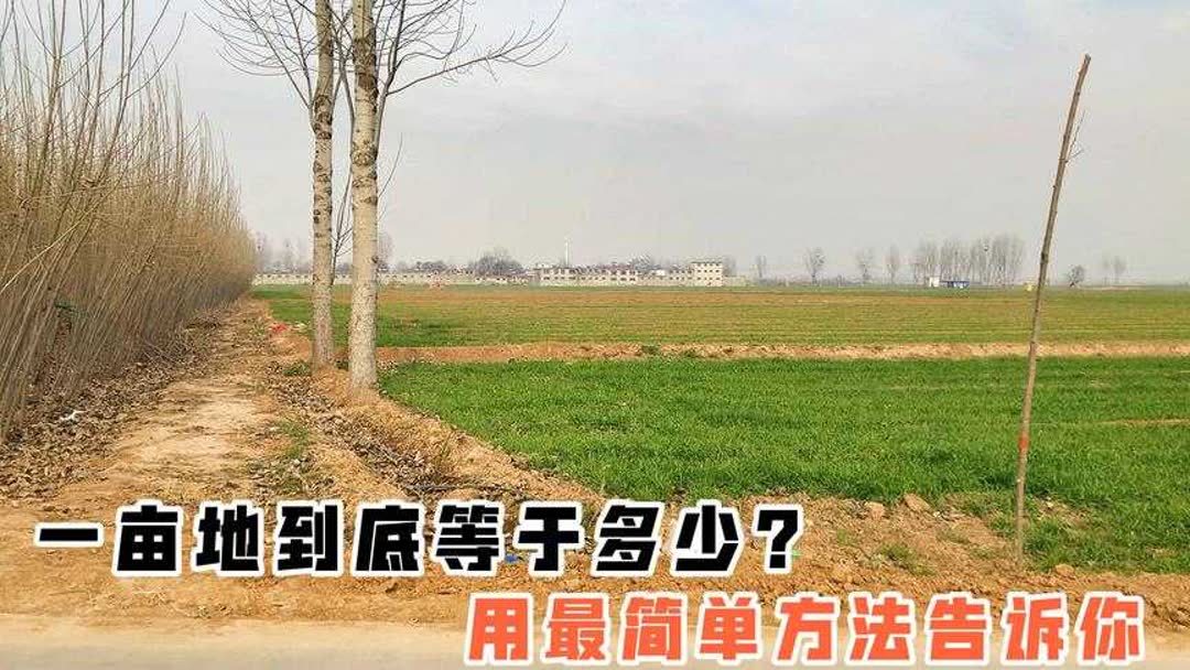 农村一亩地到底是多少平方米?如何简单换算?农村小伙告诉你!
