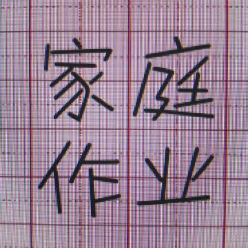 汤圆的家庭作业 