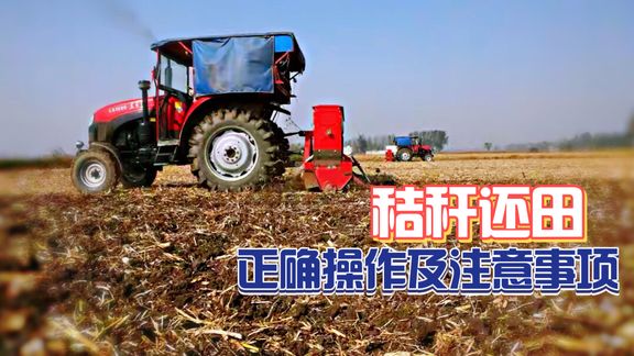 秸秆到底能不能还田处理,该如何还田,掌握正确的方法很重要