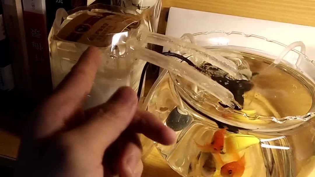 自制鱼缸过滤系统