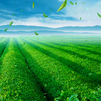 腾讯用户1475290075405169 