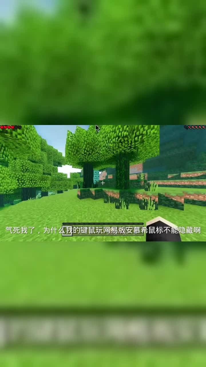 我的世界:这就是该怎么隐藏