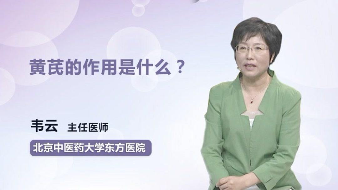 黄芪的作用是什么?