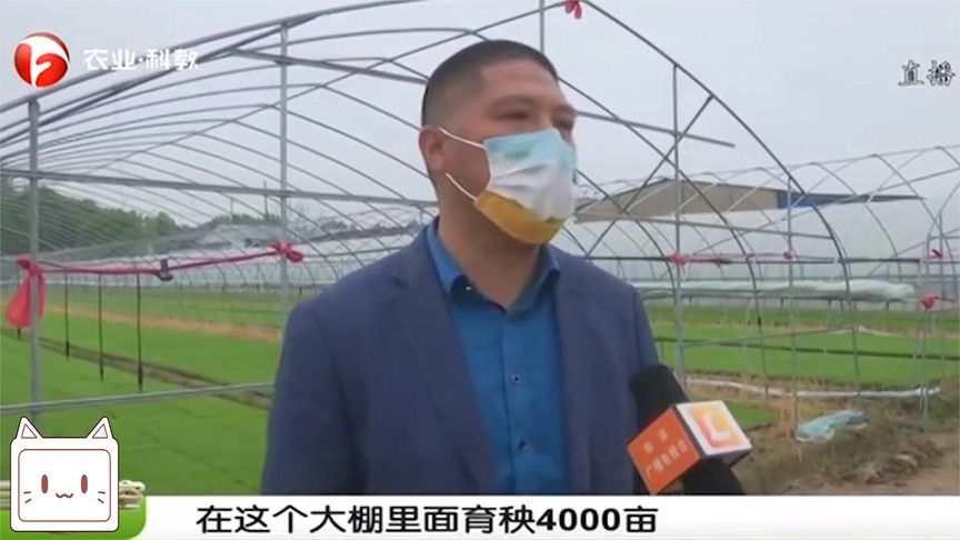 水稻育秧时节,郎溪加快推进机械化种植工作,助力农业生产