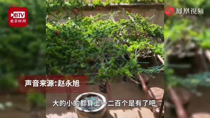 兄弟俩巧手制作200件微缩模型 勾起80后童年记忆