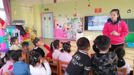 中班科学领域动物的秘密