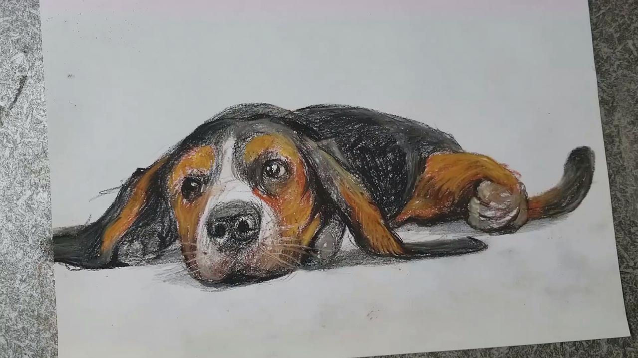 20分钟画一只狗,身上的细节这么画,简单又逼真