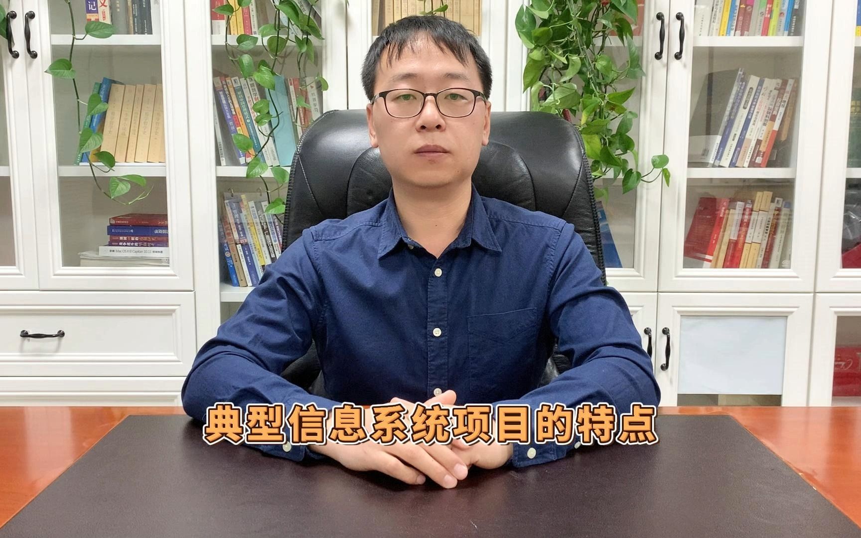 典型信息系统项目的特点