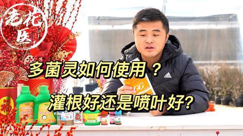 多菌灵如何正确使用?是灌根好还是喷叶好?养花必懂小知识