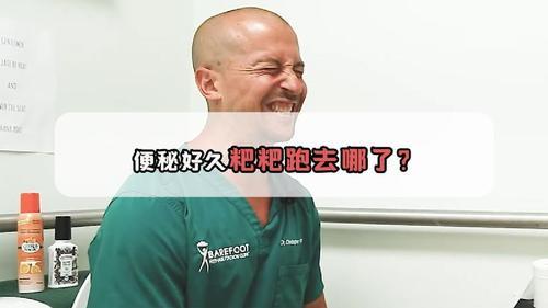 好几天没便便,它们都去那里了,是被反复吸收了吗?