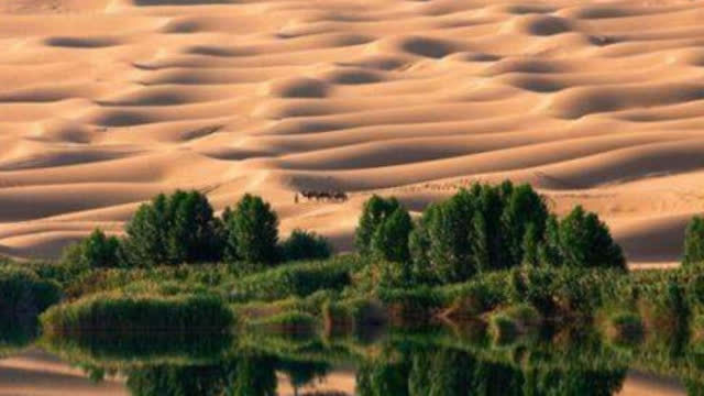 假如地球上的沙漠全部变成森林,会有什么后果?听听专家怎么说