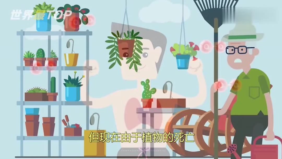 假如世界没有了植物后果你绝对想不到