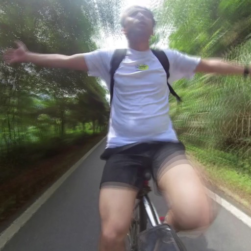 miyagimi 