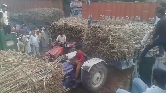 装满甘蔗的拖拉机上路,个个都是老司机,还会怕堵车?