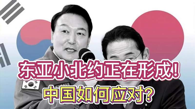 东亚小北约正在形成,中国如何应对?
