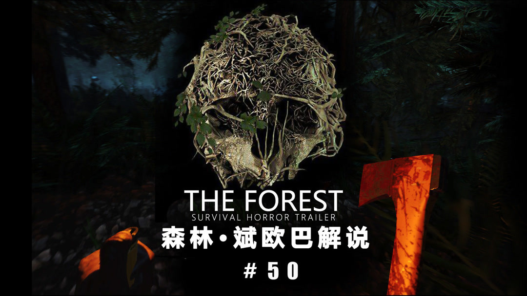 森林丨EP50进入实验室