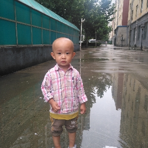 BILINILI易语言教程 