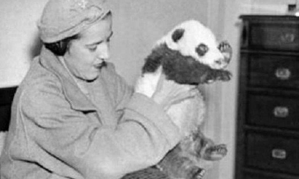 当年从中国偷走大熊猫,卖了8000美元的美国人,现在她怎样了