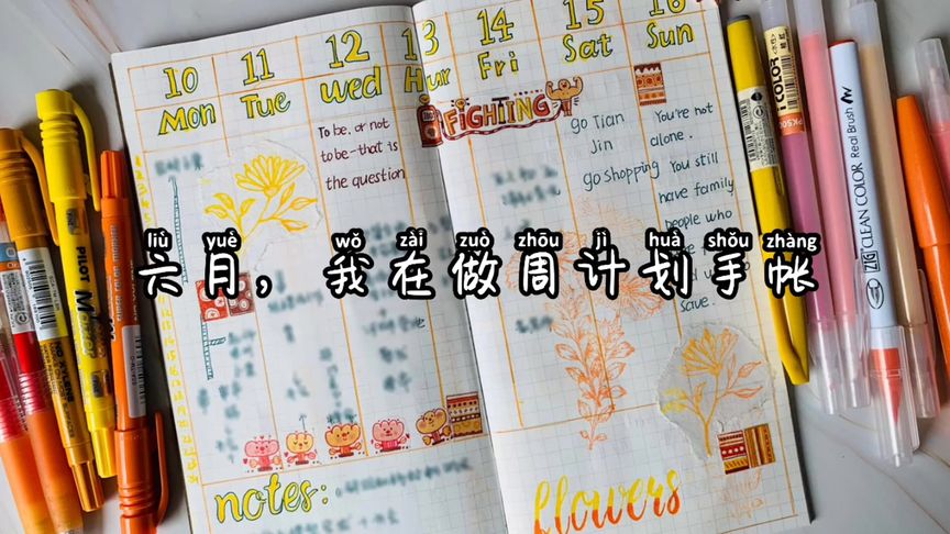 #手帐 #手账 #手账教程 #抖出我的艺术 你会做周计划手账吗?【1