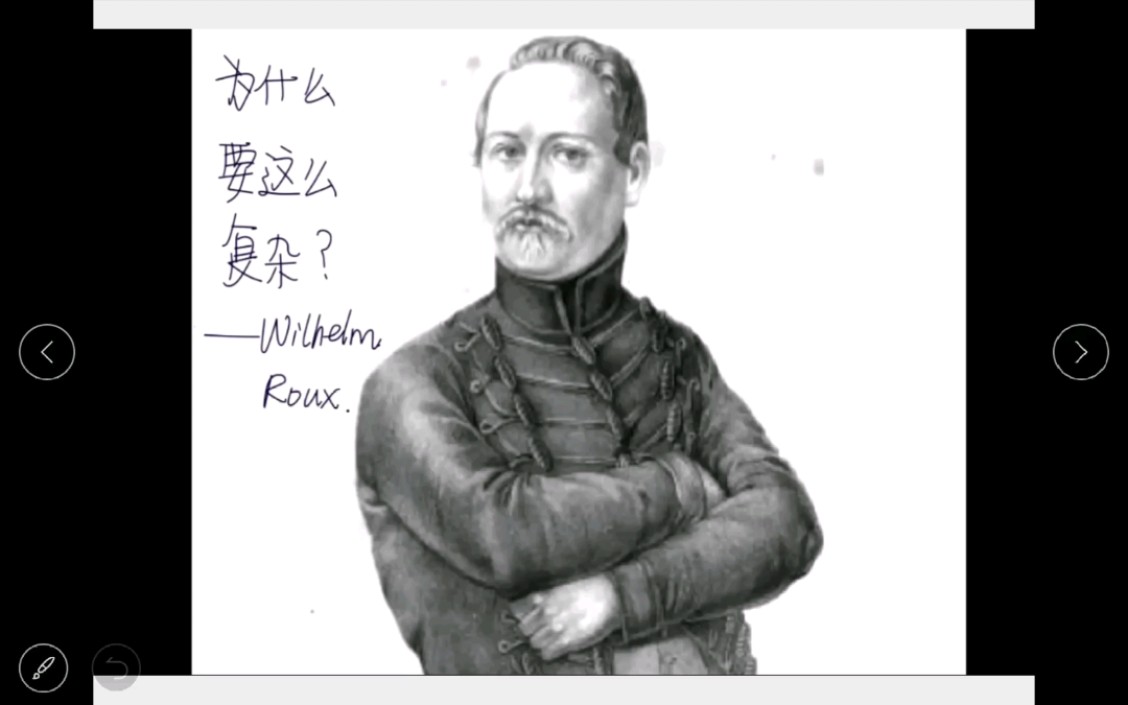 高中生物人教版必修一 细胞增殖 好累