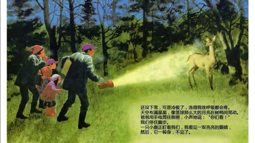 绘本故事:我们的树(品格习惯),高清!