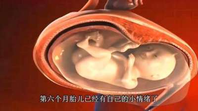 受精卵是怎样一步步变化成胎儿的?3D演示全过程,生命真的很奇妙