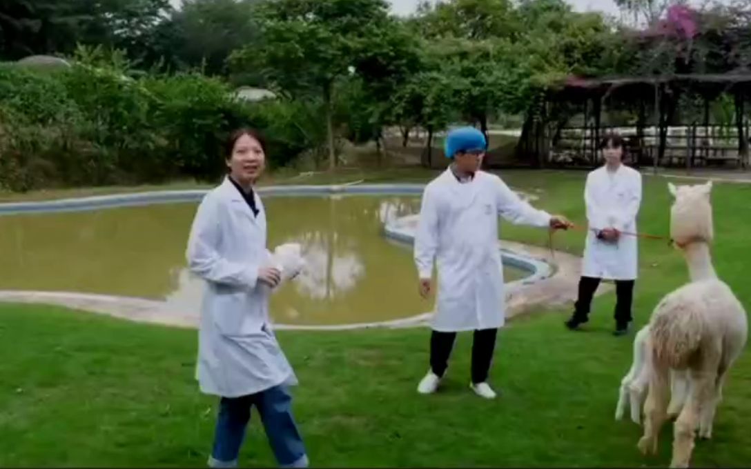 羊驼纳米抗体发现技术