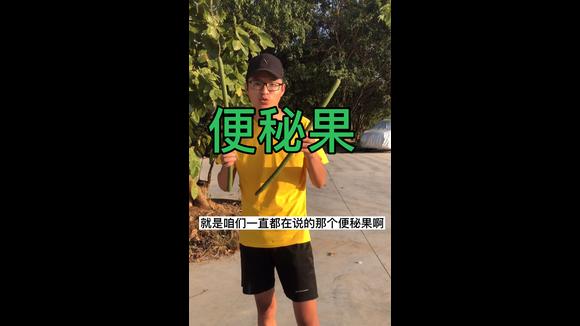 一直在说的便秘果