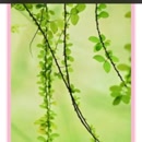 吃个饭给哈哈哈 