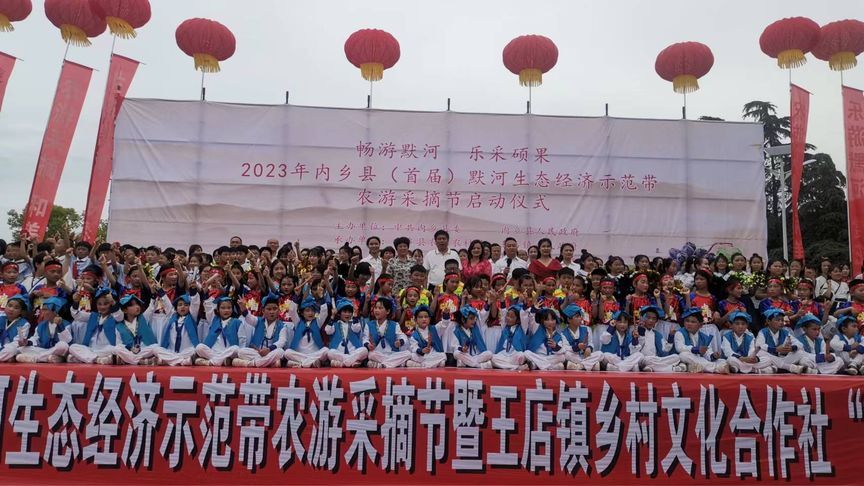 啦啦操《中华美少年》 表演者:王店镇中心小学