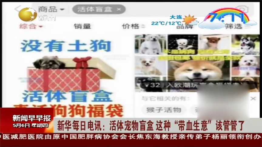 新华每日电讯:活体宠物盲盒,这种“带血生意”该管管了
