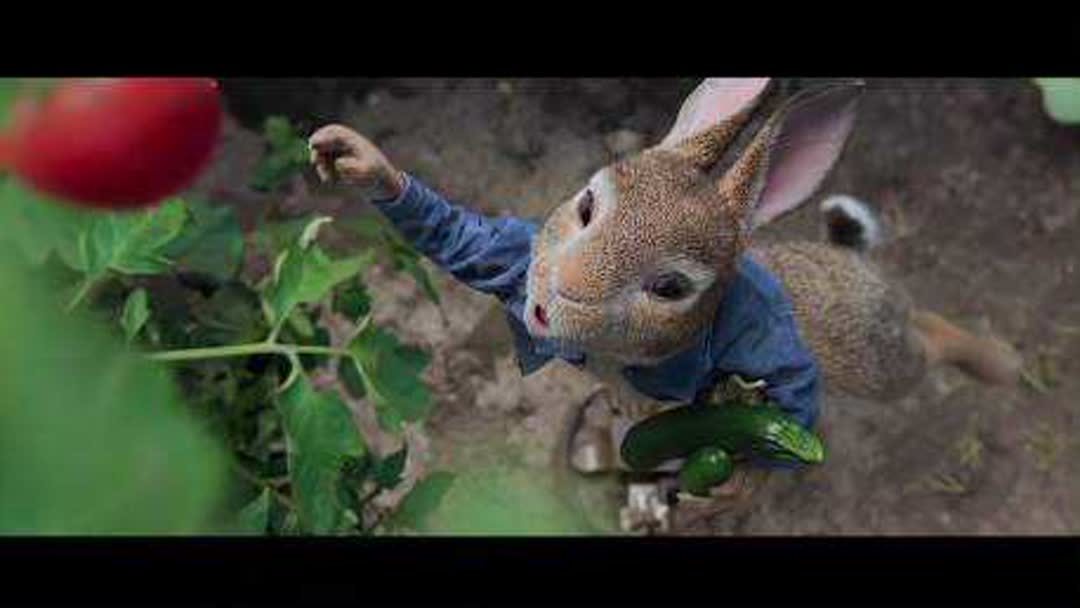 彼得兔精彩瞬间1