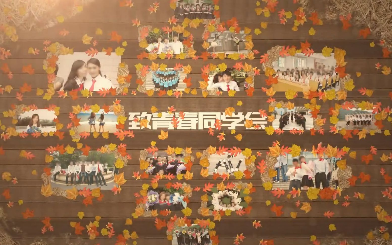 236金黄枫叶边框温情秋日回忆同学聚会开场视频片头ae模板婚礼视频 ...