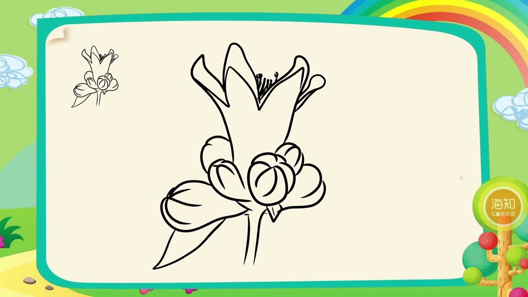 简笔画植物花卉教程,如何画石榴花,海知儿童简笔画大全