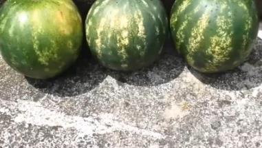 世界上最奇葩的实验,高压水枪能戳穿三个西瓜