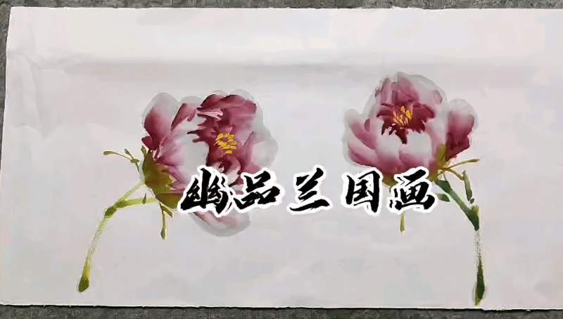 教大家画两朵初绽放的牡丹!笔法清晰,简单易学!