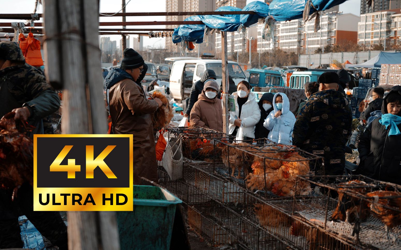 「后疫情时代的人间烟火」 | 用RAW拍视频的电影机?适马FP 4k 12bit ...