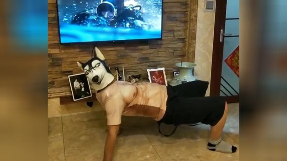 这明显是被二哈咬过留下的后遗症