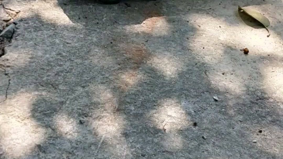 看看中国的国产卡车模型,用的是MAN心是中国的