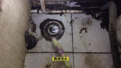 连续慌乱累病了,疏通主管道发现厕所厨房共用一条管道