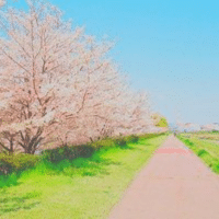 落洁带你懂三农 