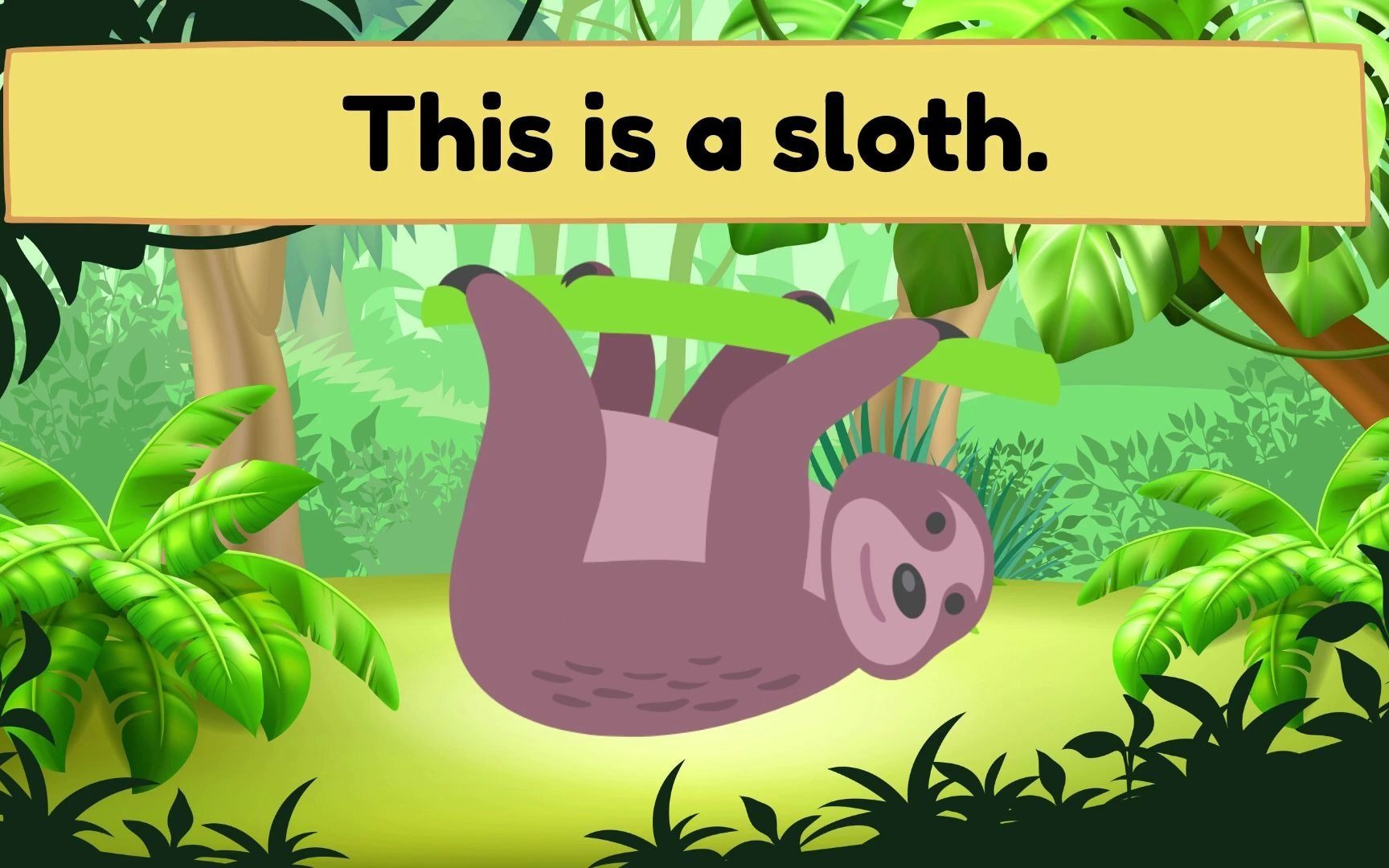 【英语】丛林动物 图片学习 儿童英文早教 英语学习 幼儿少儿儿童语言...